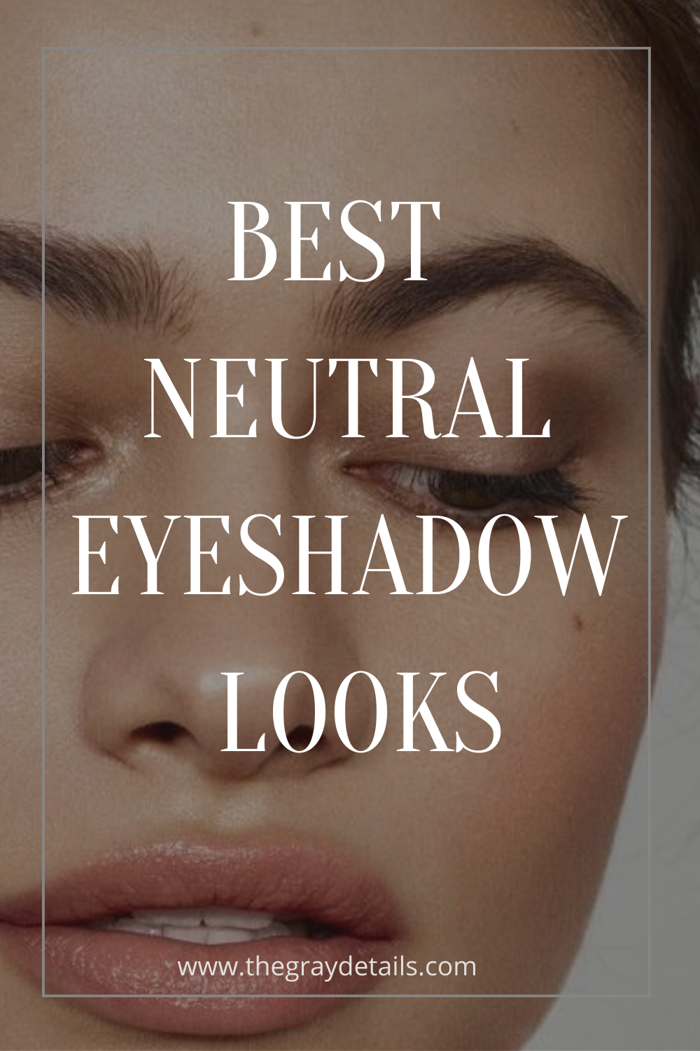 Neutral Eyeshadow Looks - the gray details