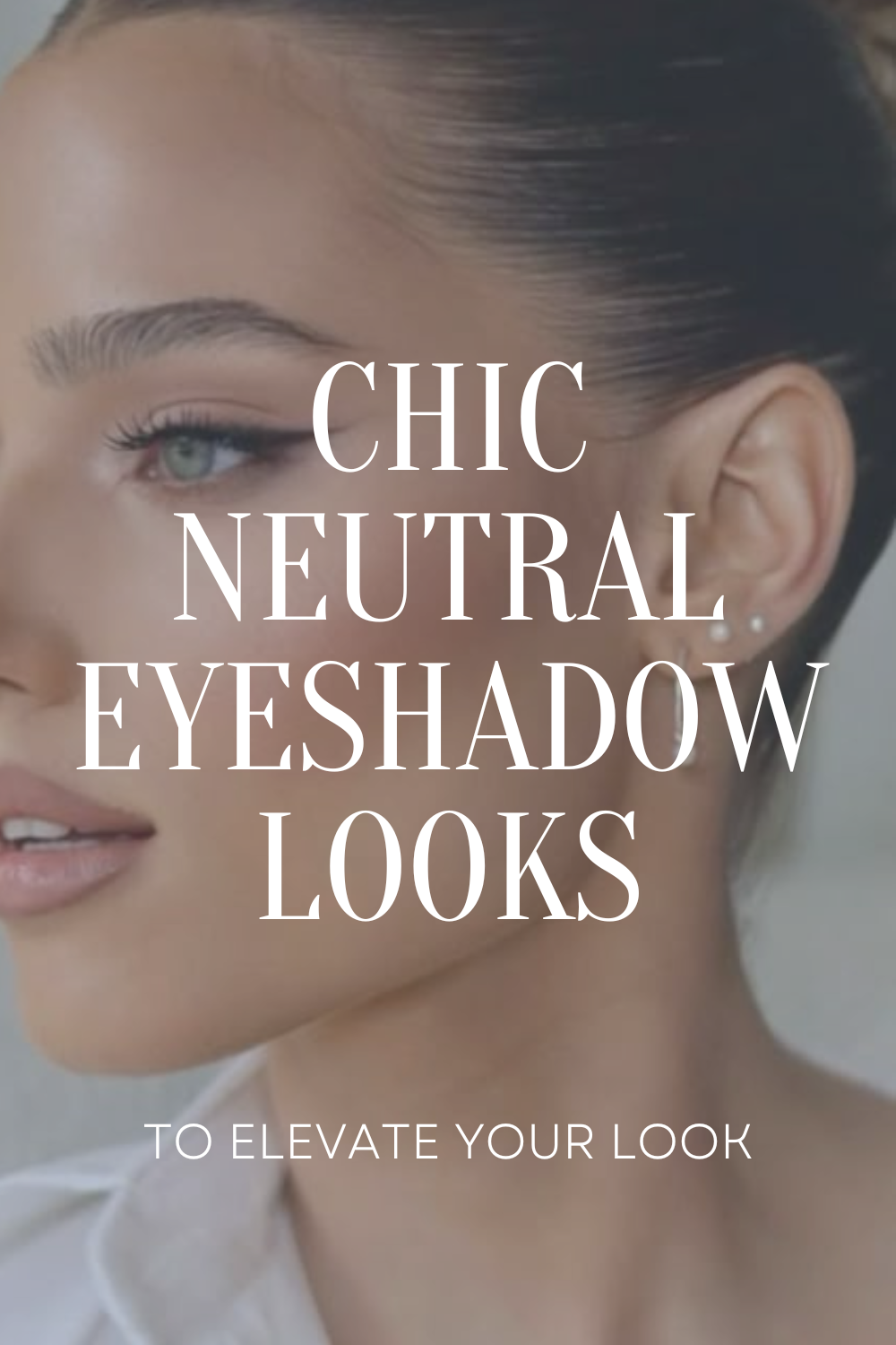 Neutral Eyeshadow Looks - the gray details