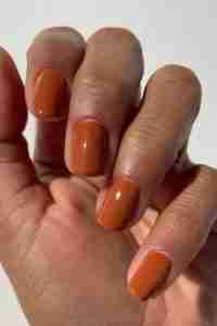 The Ultimate Guide to Fall Short Nails: Trends, Designs, and more - the ...